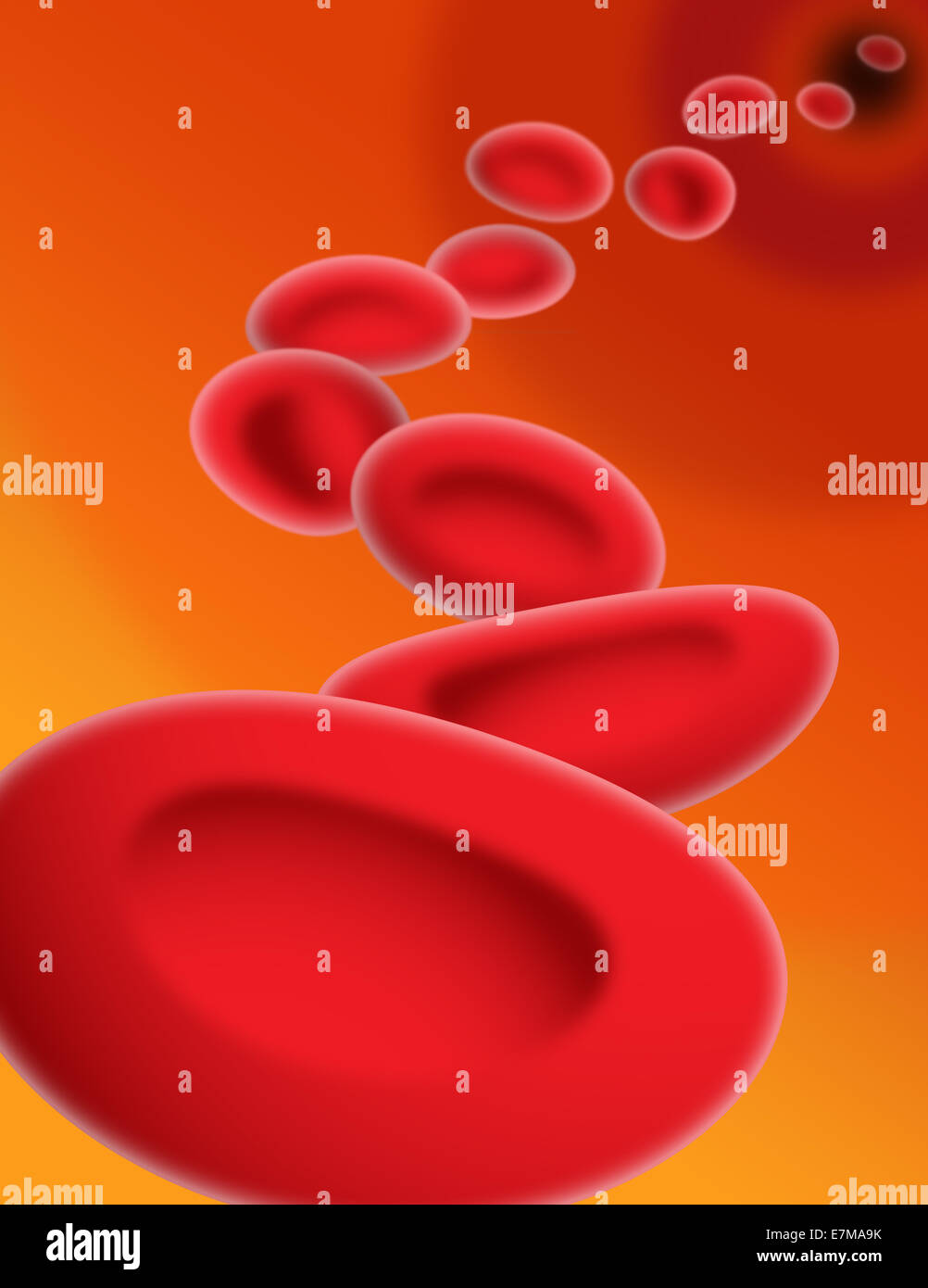 Red Blood Cells Stock Photo - Alamy