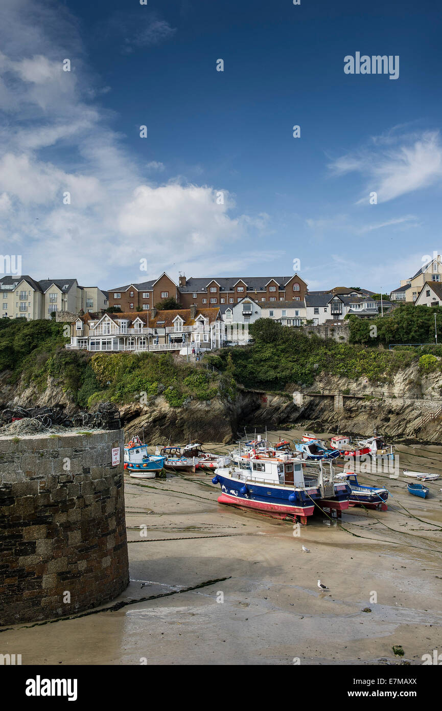 Low tide in Newquay Harbour Stock Photo - Alamy