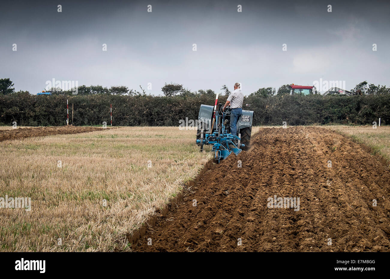 A farmer competing in a ploughing competition on The Lizard in Cornwall ...
