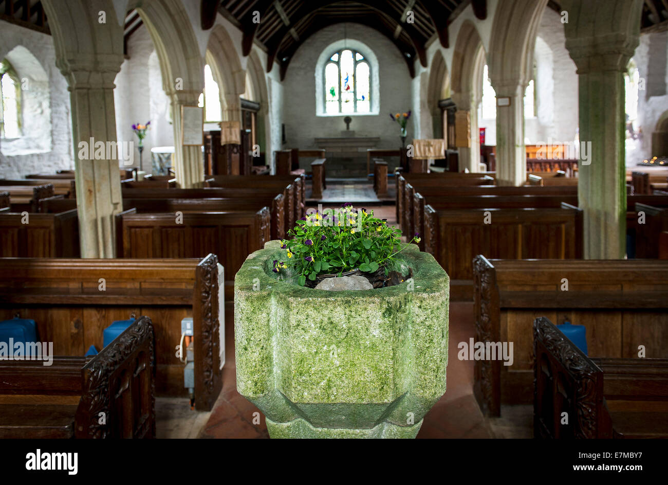 The interior of St Winwaloe Church near Gunwalloe Cove in Cornwall ...