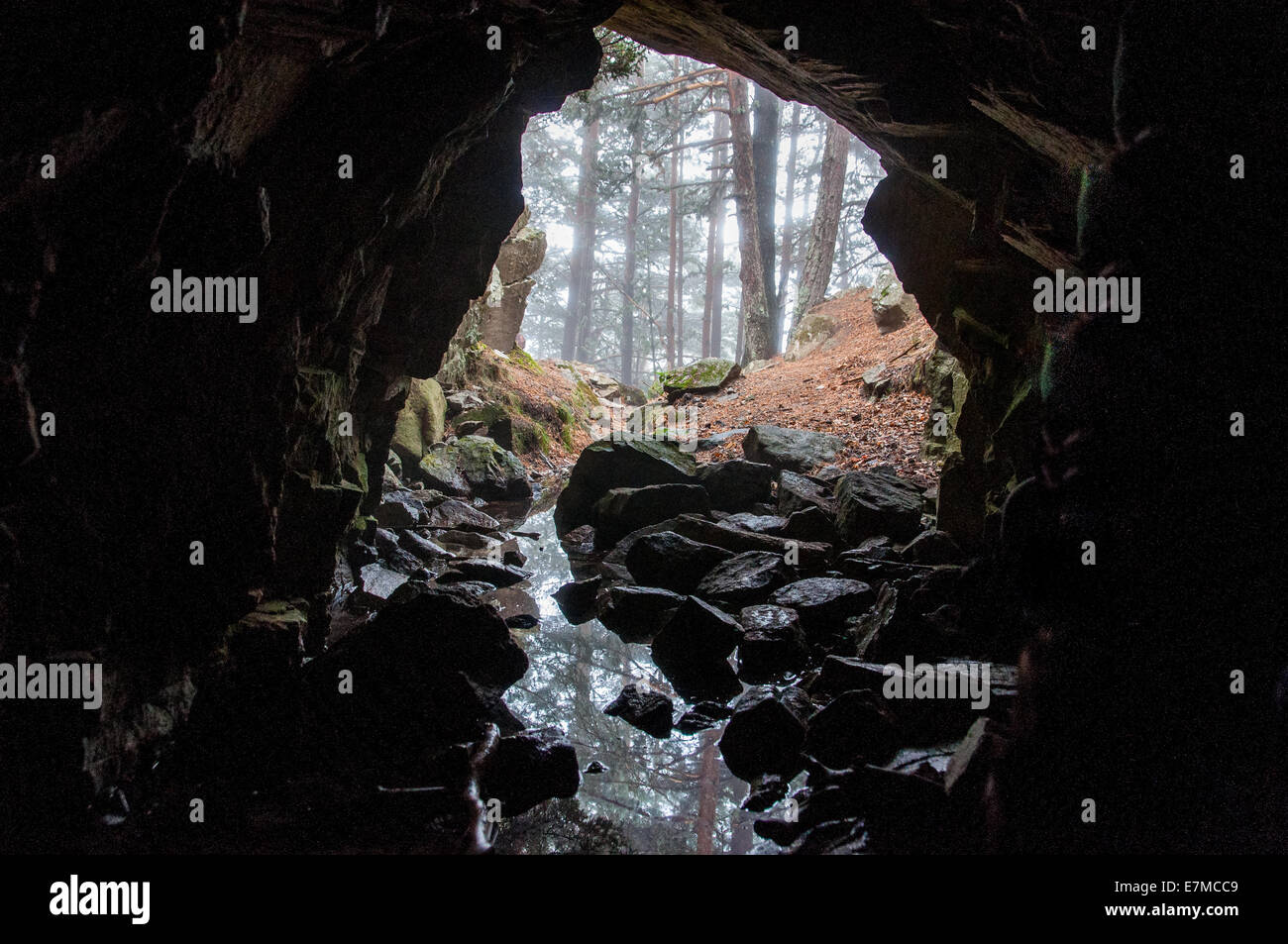 Sistema central hi-res stock photography and images - Alamy