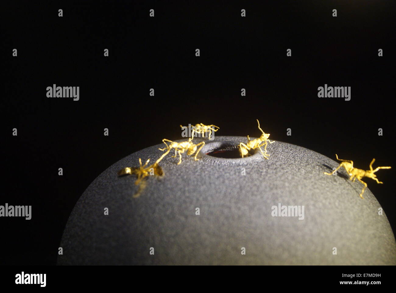 Chinese crafts: made of gold an ant, very realistic Stock Photo - Alamy
