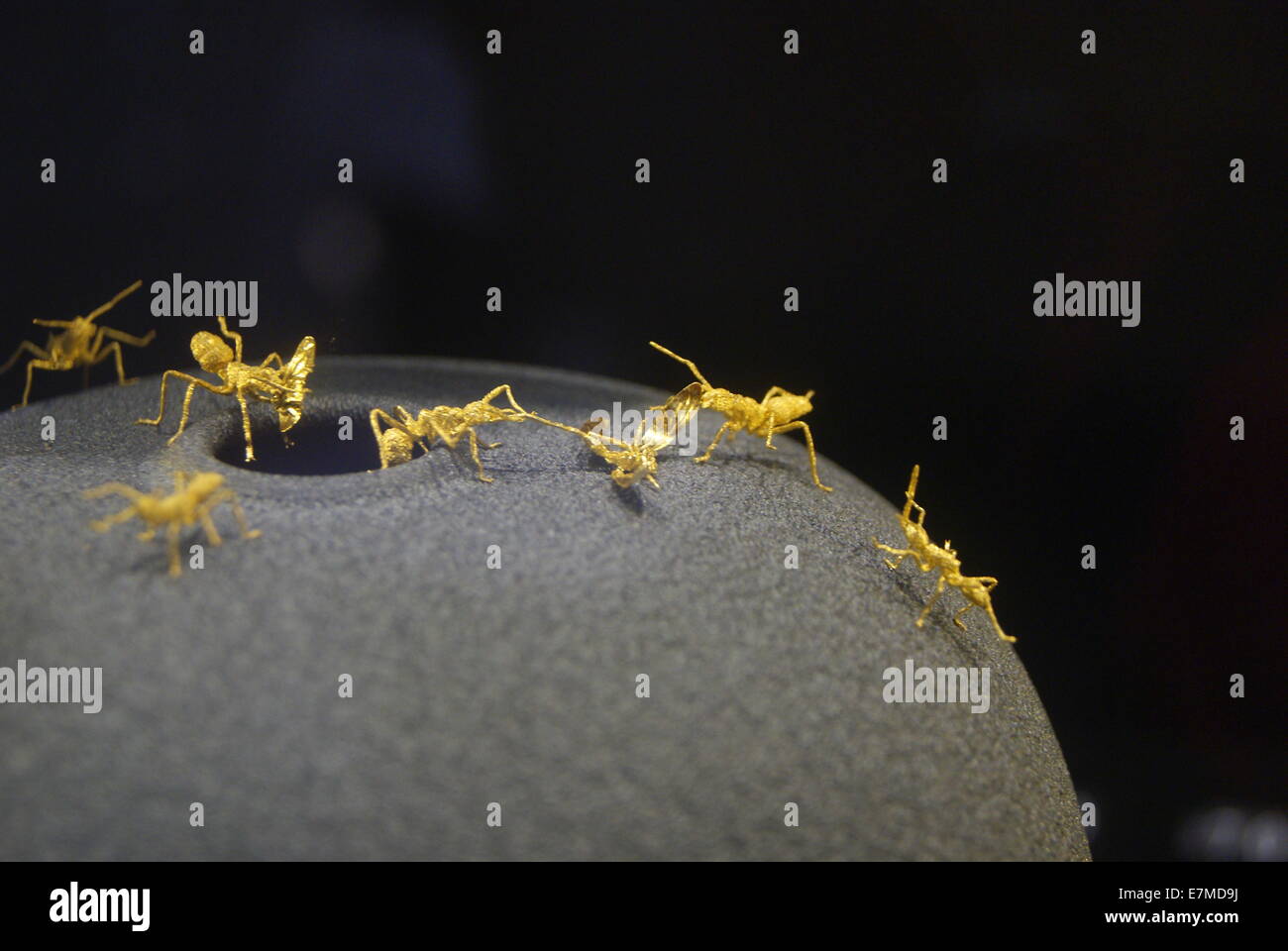 Ant carving hi-res stock photography and images - Alamy