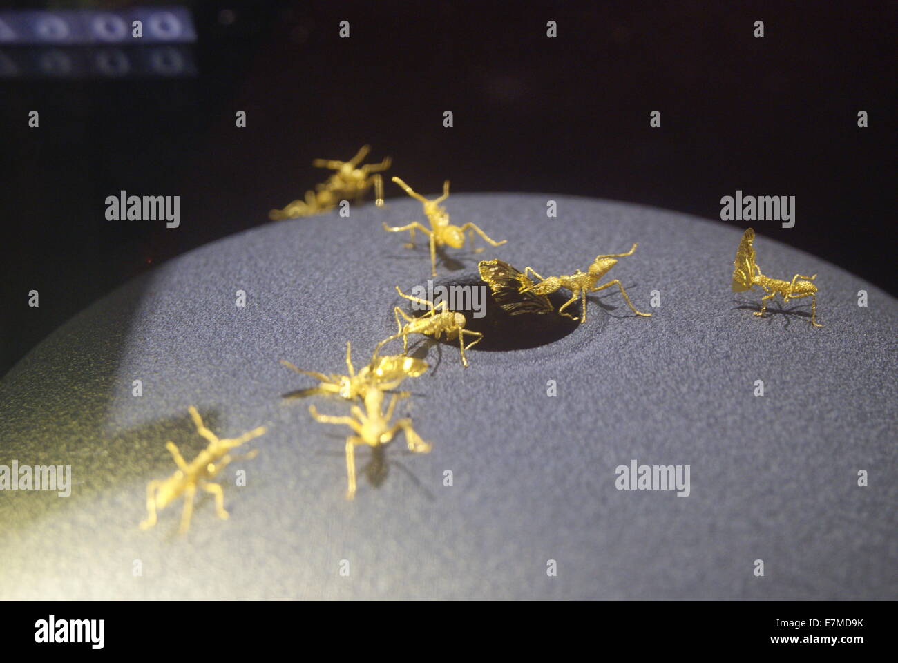 Chinese crafts: made of gold an ant, very realistic Stock Photo - Alamy