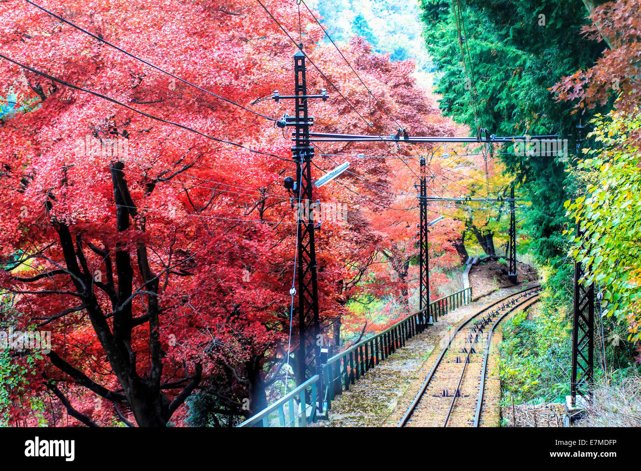 Typical japanese red gate hi-res stock photography and images - Alamy