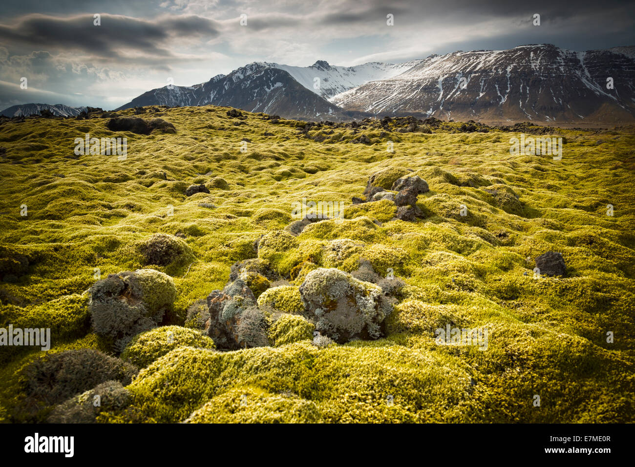 Berserkjahraun Lava Field High Resolution Stock Photography and Images ...