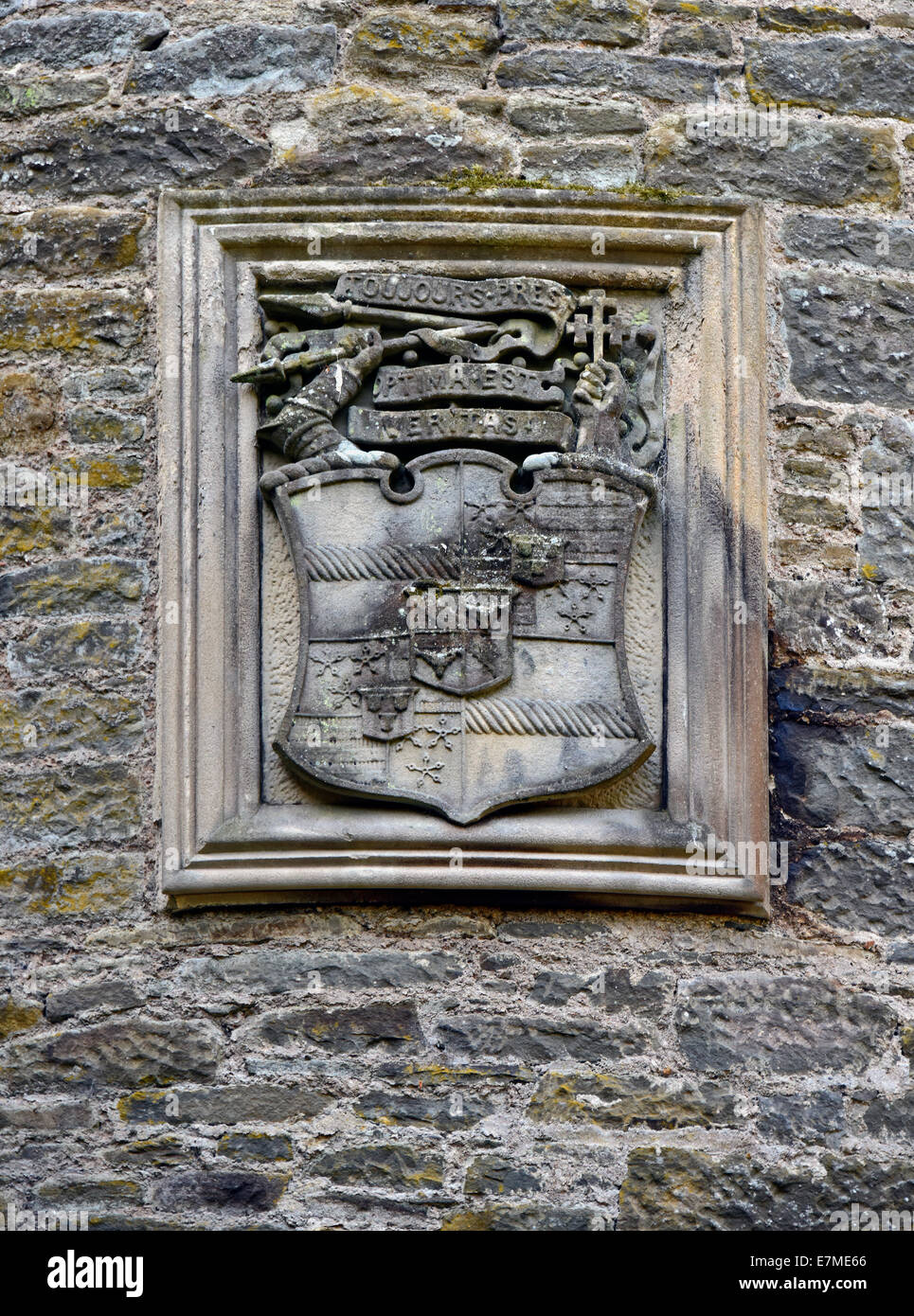 Family badge hi-res stock photography and images - Alamy