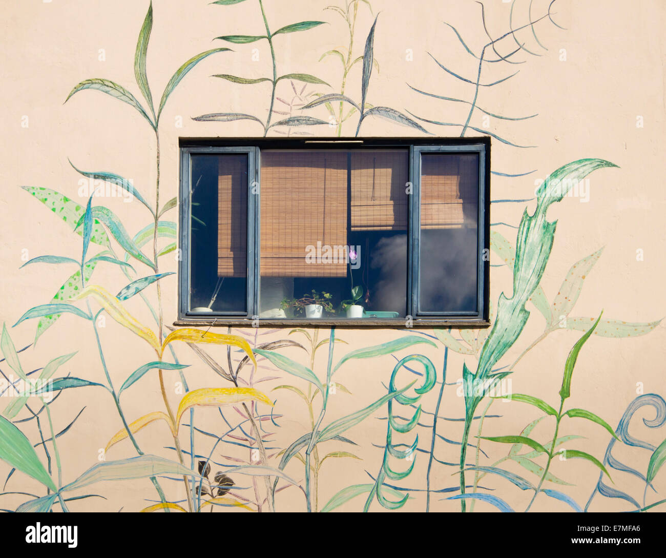 House facade in Oslo Norway window surrounded by artistic plant and ...