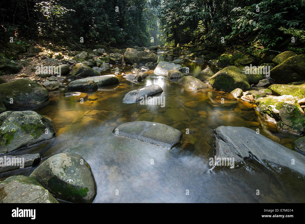 Matang Park River naturally formed from rocks and trees surrounding ...