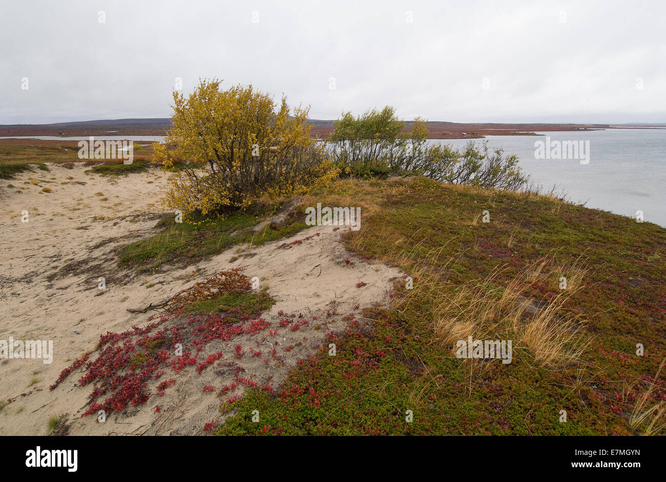 Sand banks of Pöyrisjärvi lake Stock Photo - Alamy