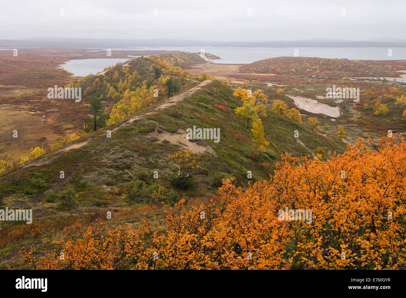 Poyrisjarvi hi-res stock photography and images - Alamy