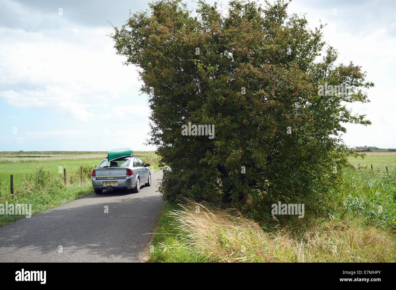 Rural road UK Stock Photo - Alamy
