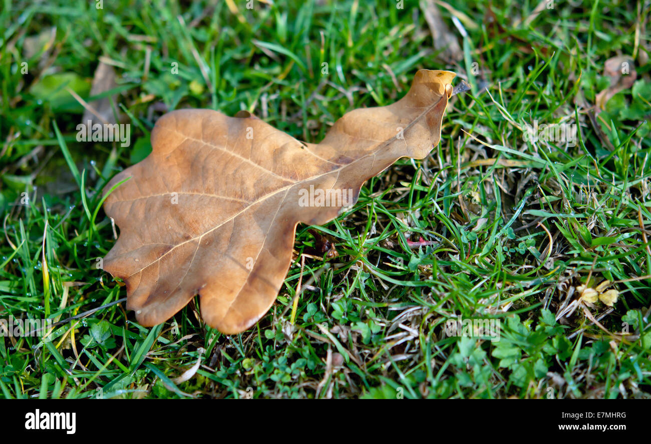 Aging changes hi-res stock photography and images - Alamy