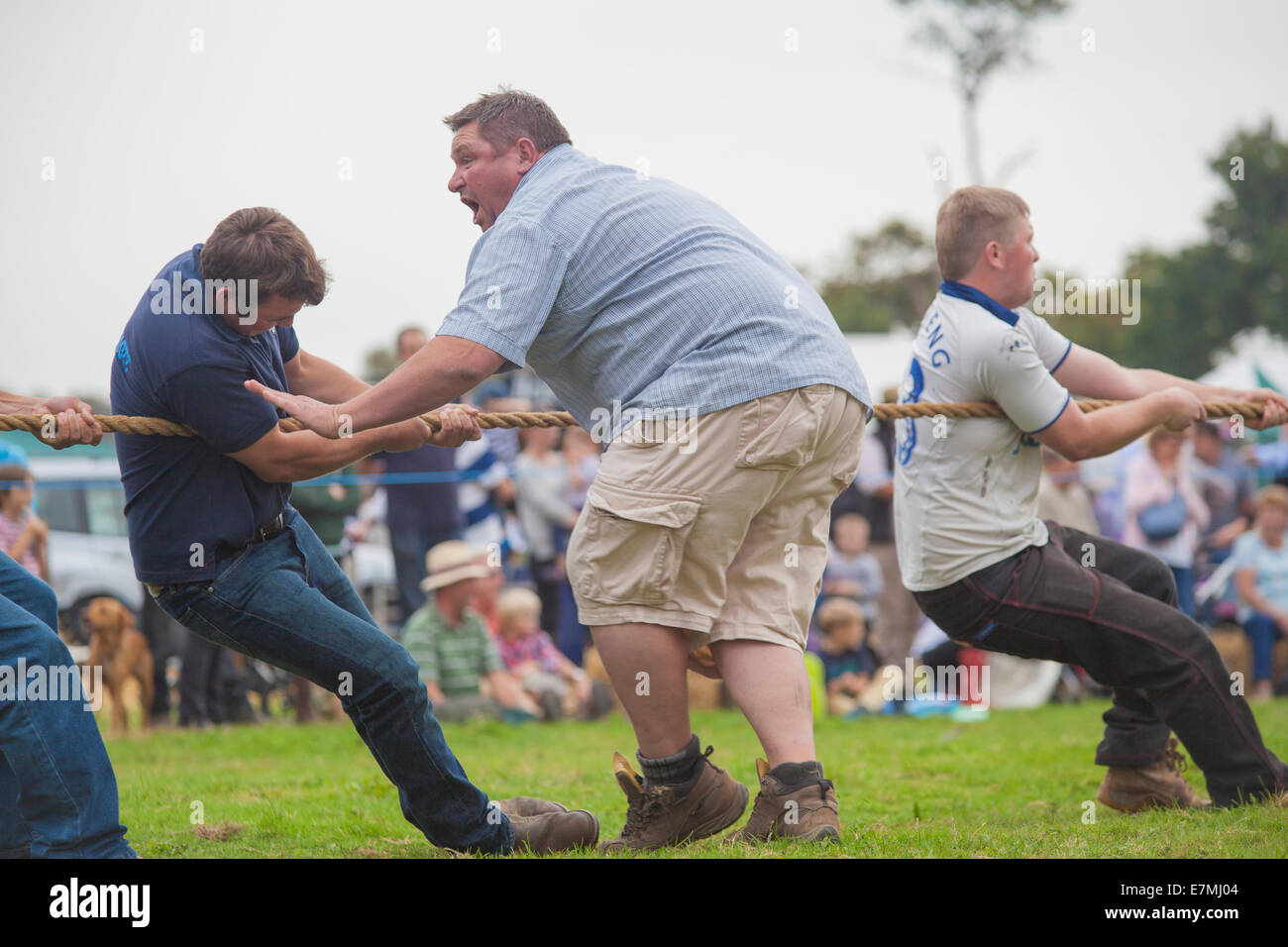 Tug Of War High Resolution Stock Photography and Images - Alamy
