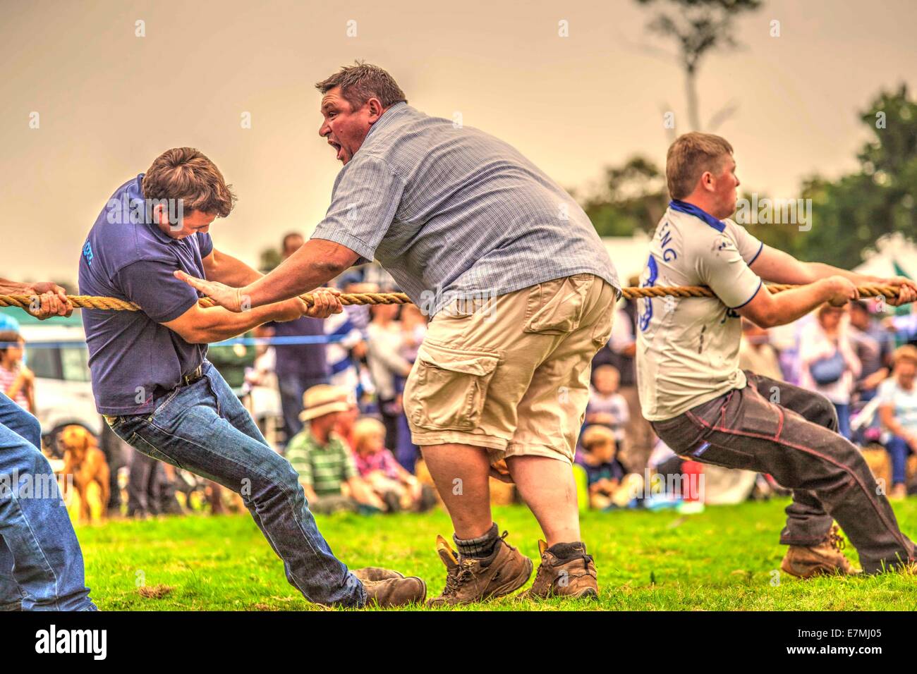 Tug of war hi-res stock photography and images - Alamy