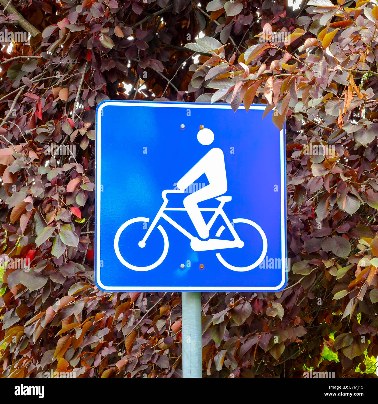 A road signal indicating the path for bikers Stock Photo - Alamy