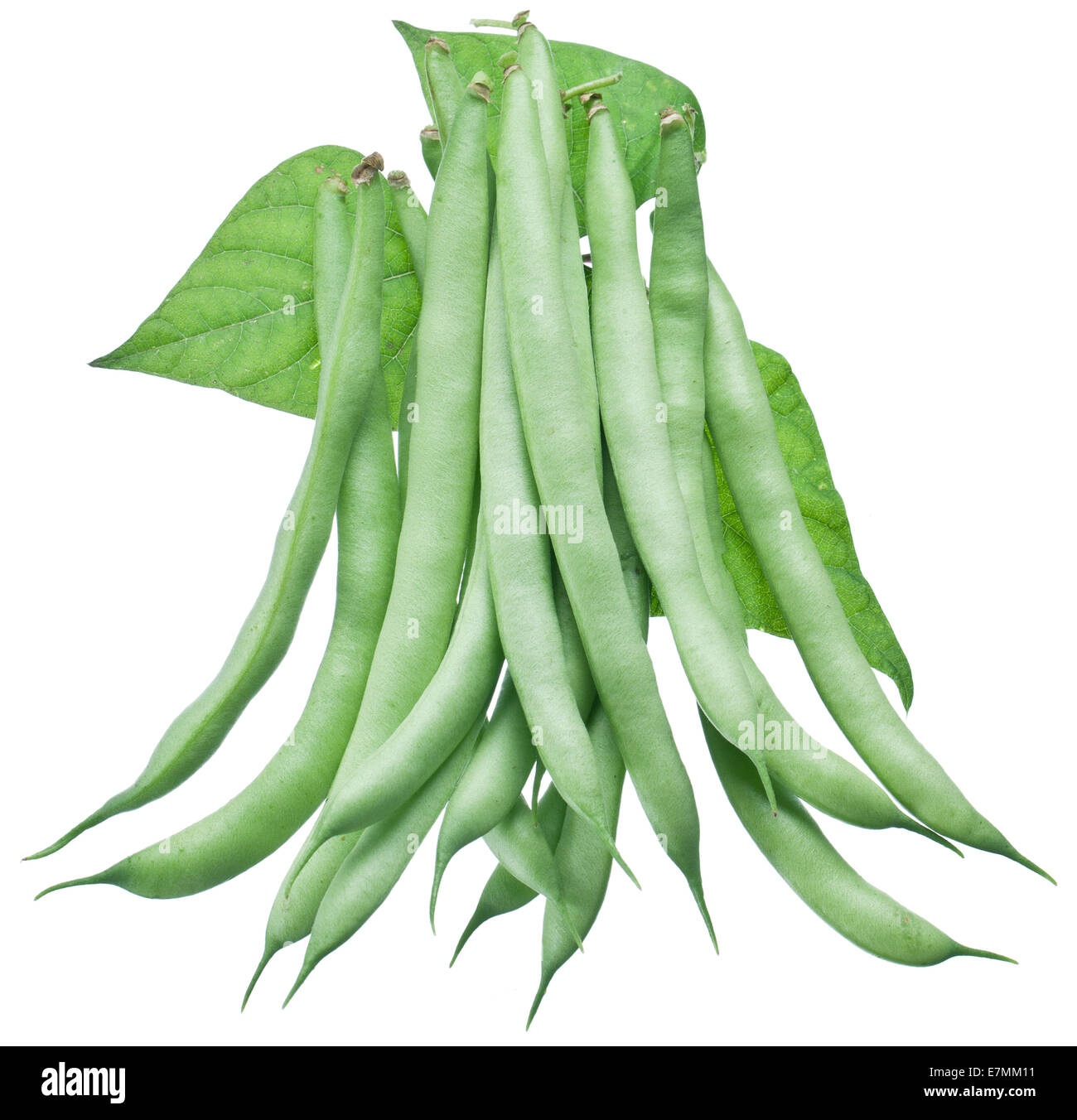 Fresh green beans isolated on a white background Stock Photo - Alamy