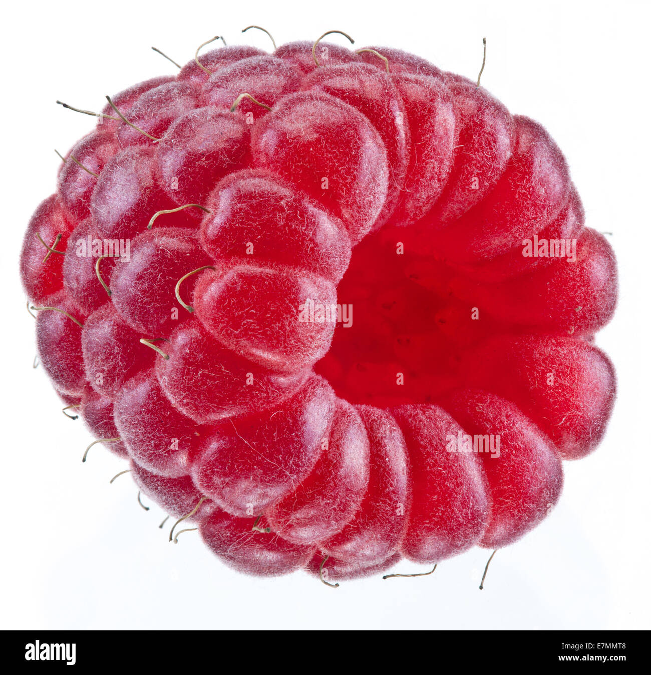 One rich raspberry fruit isolated on a white background Stock Photo - Alamy