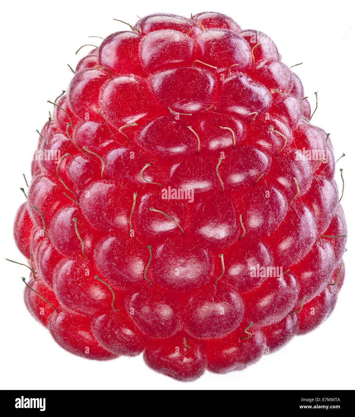 One rich raspberry fruit isolated on a white background Stock Photo - Alamy