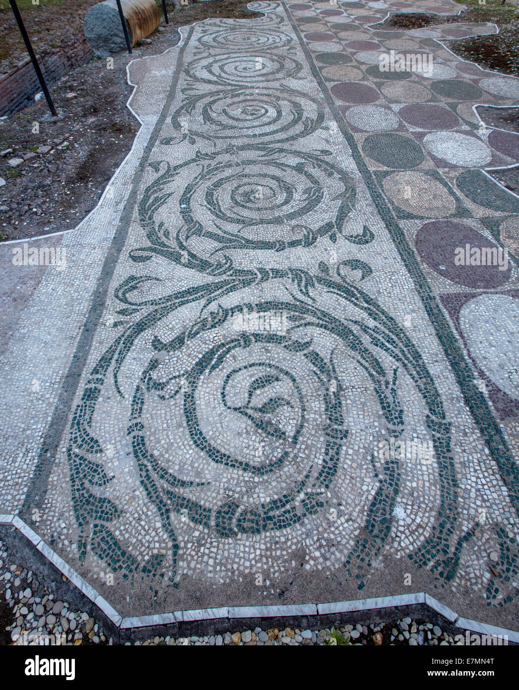 Mosaic floor tile ancient rome hi-res stock photography and images - Alamy