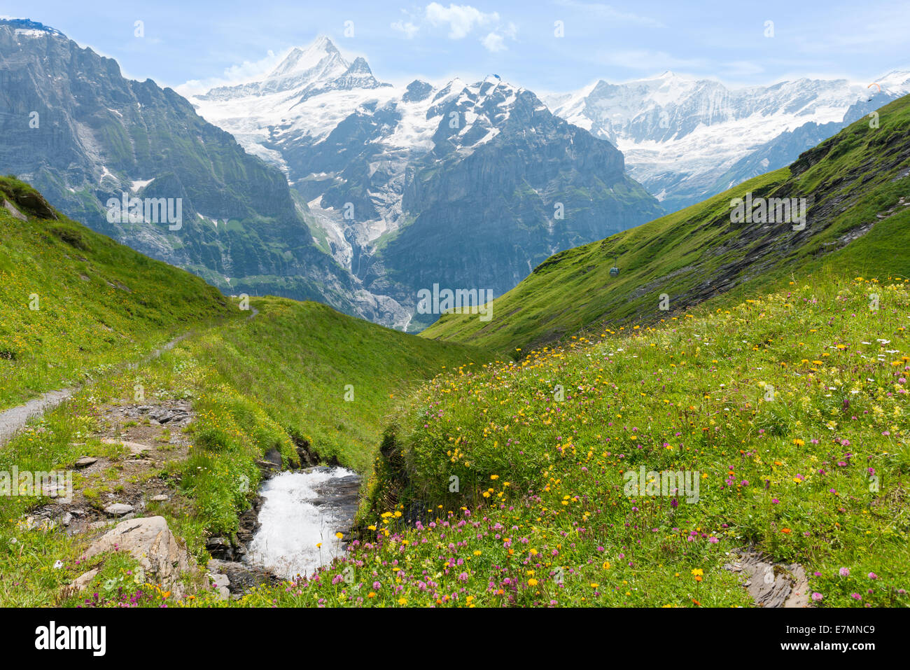 Grindelwald. Walking trails through mountains and alpine meadows with ...
