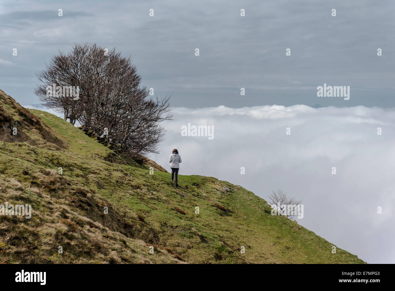 Roncesvalles pass hi-res stock photography and images - Alamy