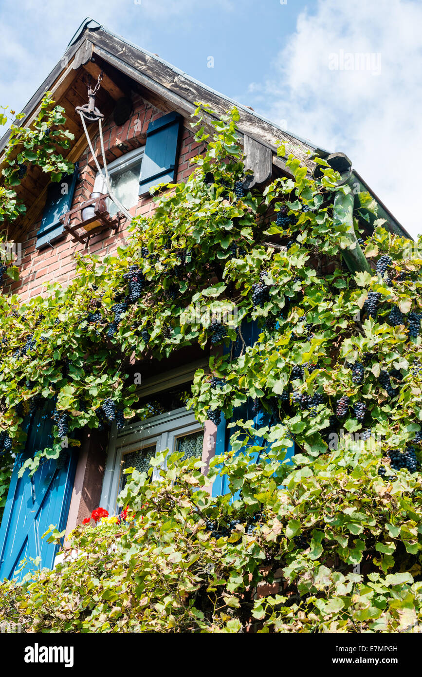 Old wine house hi-res stock photography and images - Alamy