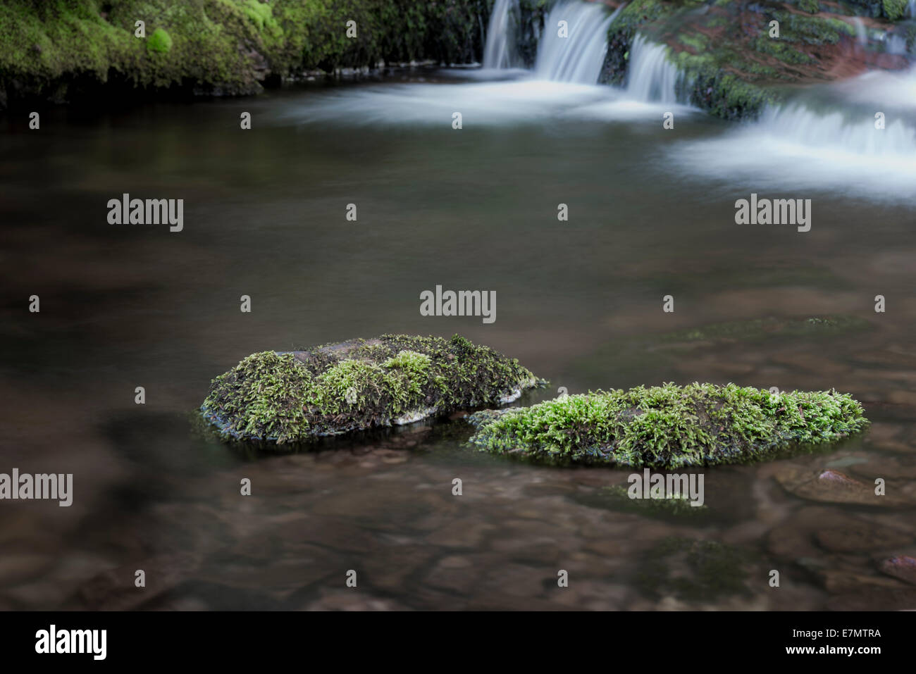 Arce spain hi-res stock photography and images - Alamy