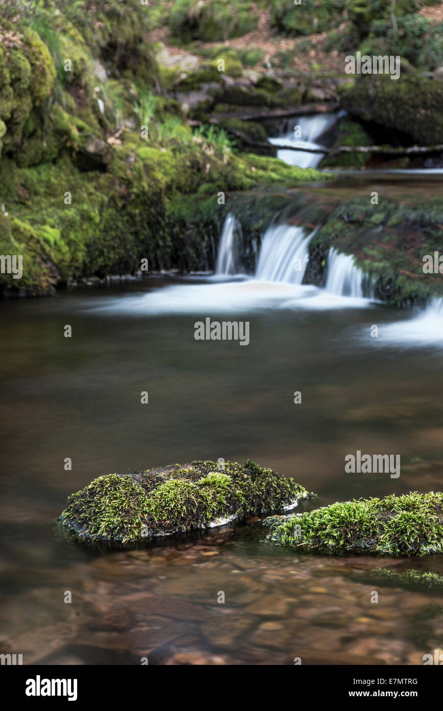 Arce Valley forest, Navarre, Spain Stock Photo - Alamy