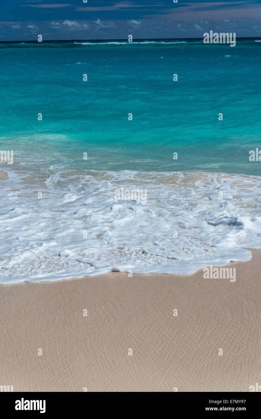 Tropical beach and ocean background texture Stock Photo - Alamy