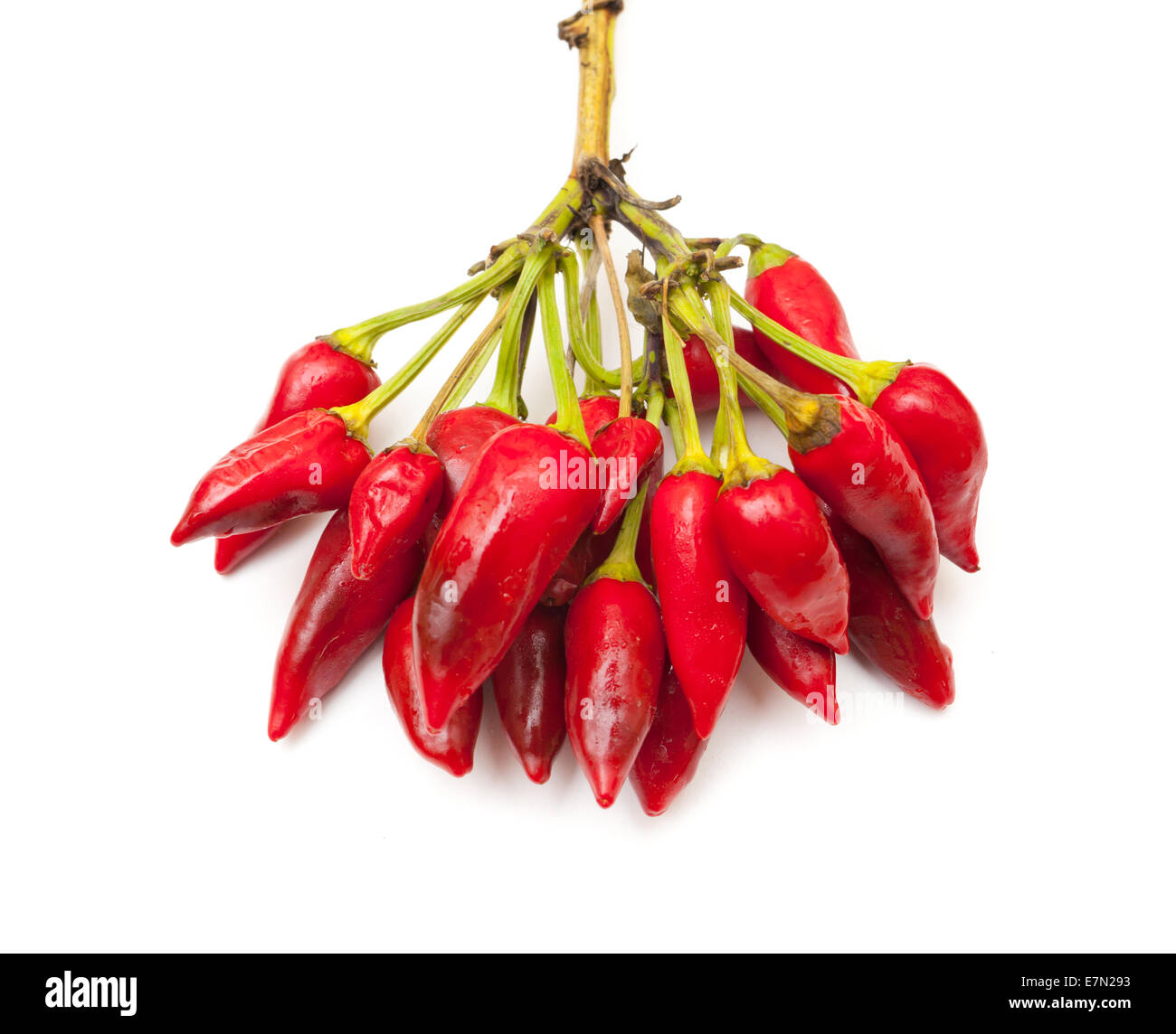 Bunch of fresh small red pepper isolated on white background Stock ...