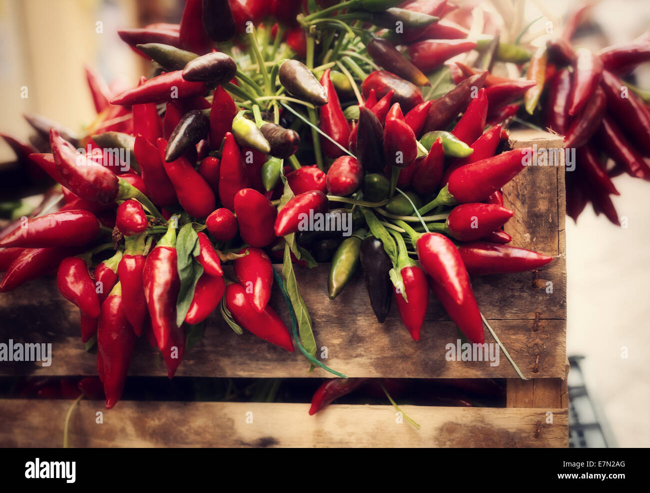 Hot chili pepper hi-res stock photography and images - Alamy