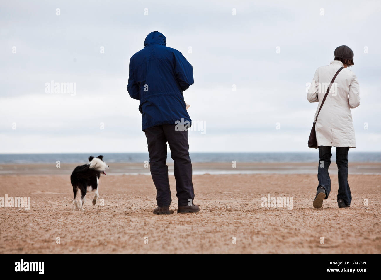 Dogs puppies walking with mans best friend enjoying life outside with a ...