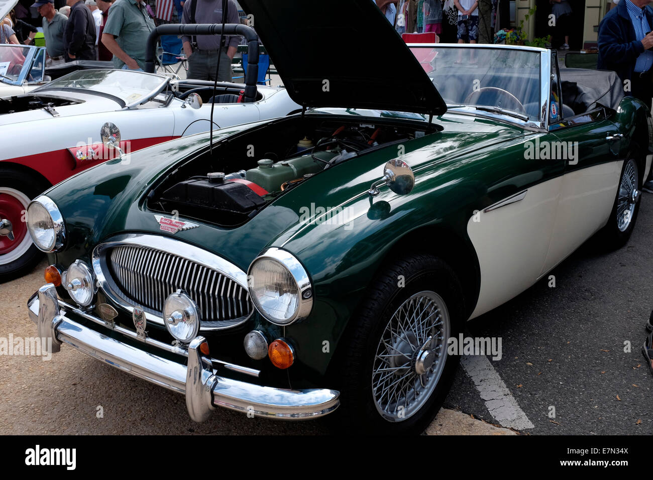 Austin healy hi-res stock photography and images - Alamy