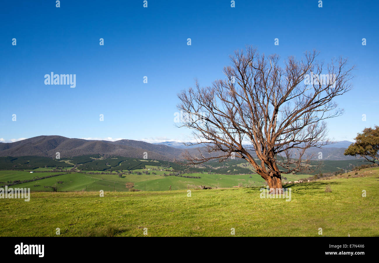 Morwell hi-res stock photography and images - Alamy