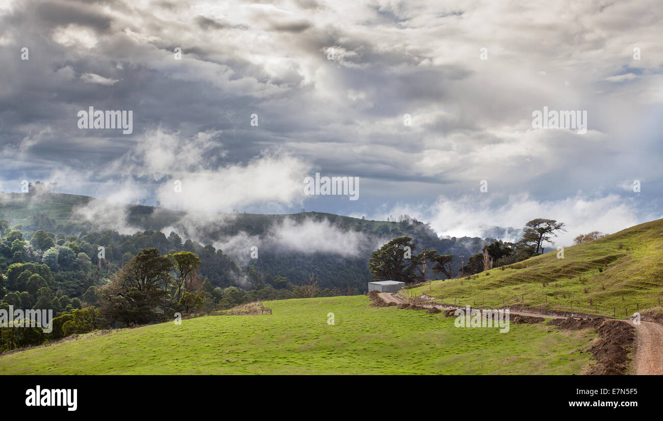 Country side on Grand Ridge road Stock Photo - Alamy