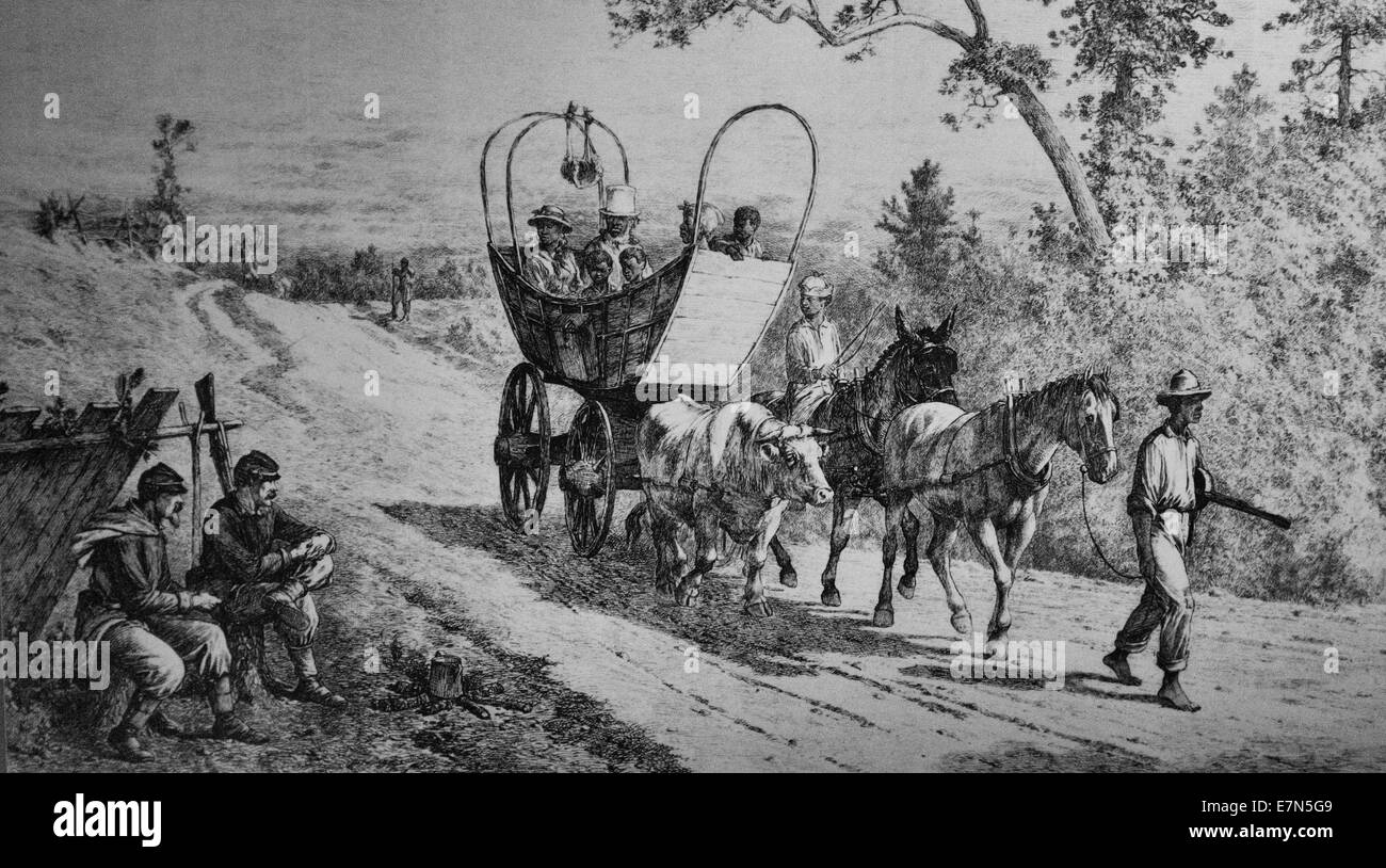 Crossing the Lines - A slave family escape through the lines to freedom ...