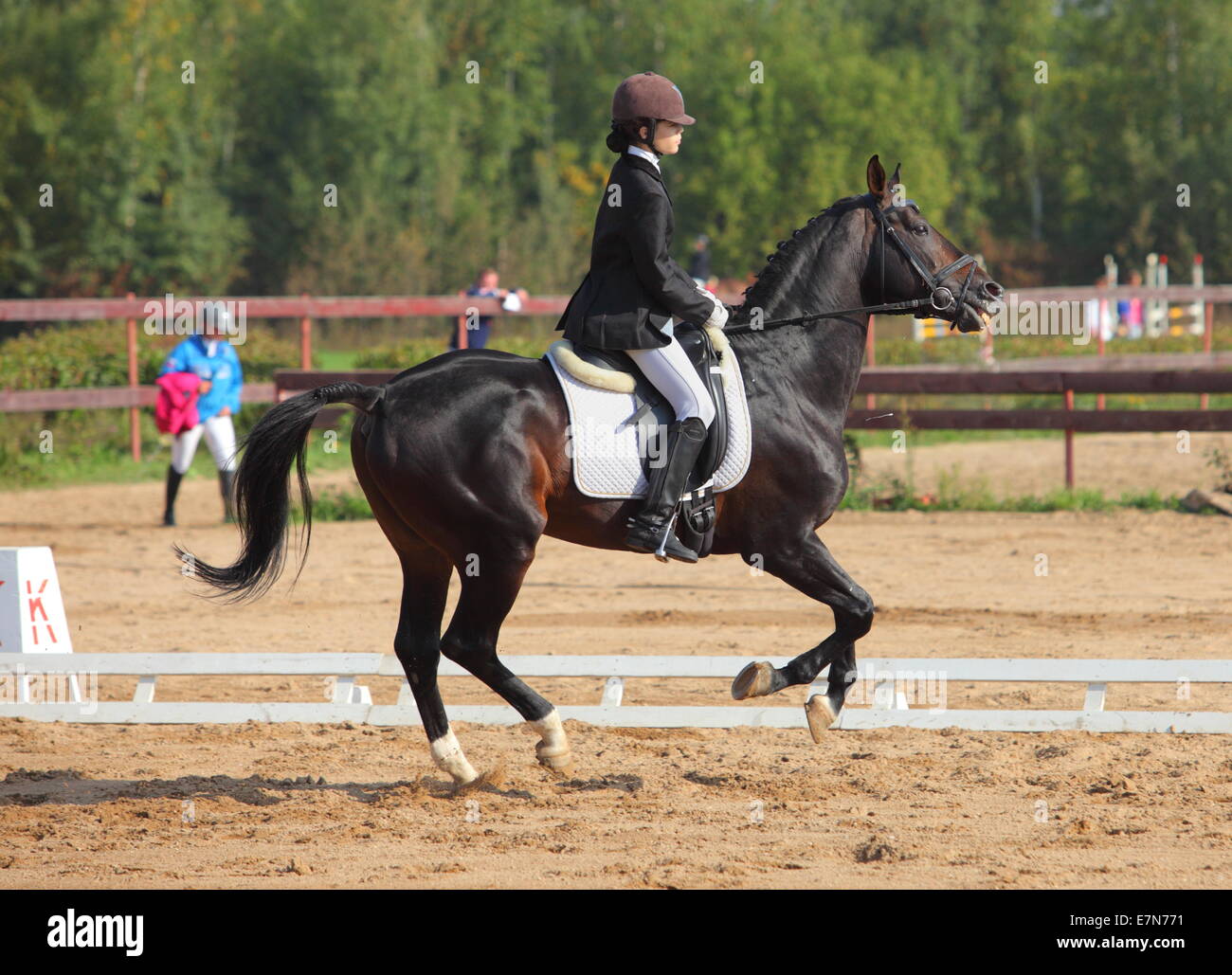 Girl riding bay dressage horse hi-res stock photography and images - Alamy