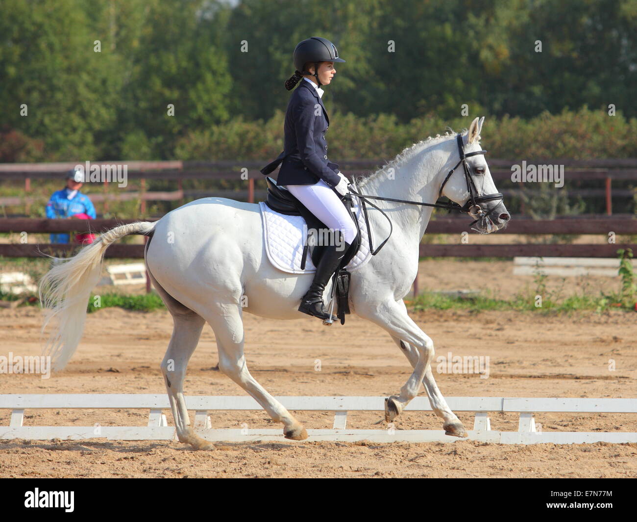 Woman in formal dress riding on Hanoverian horse during a dressage ...