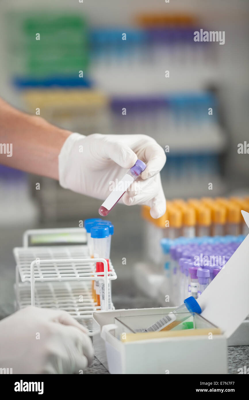 Lab Counter High Resolution Stock Photography and Images - Alamy