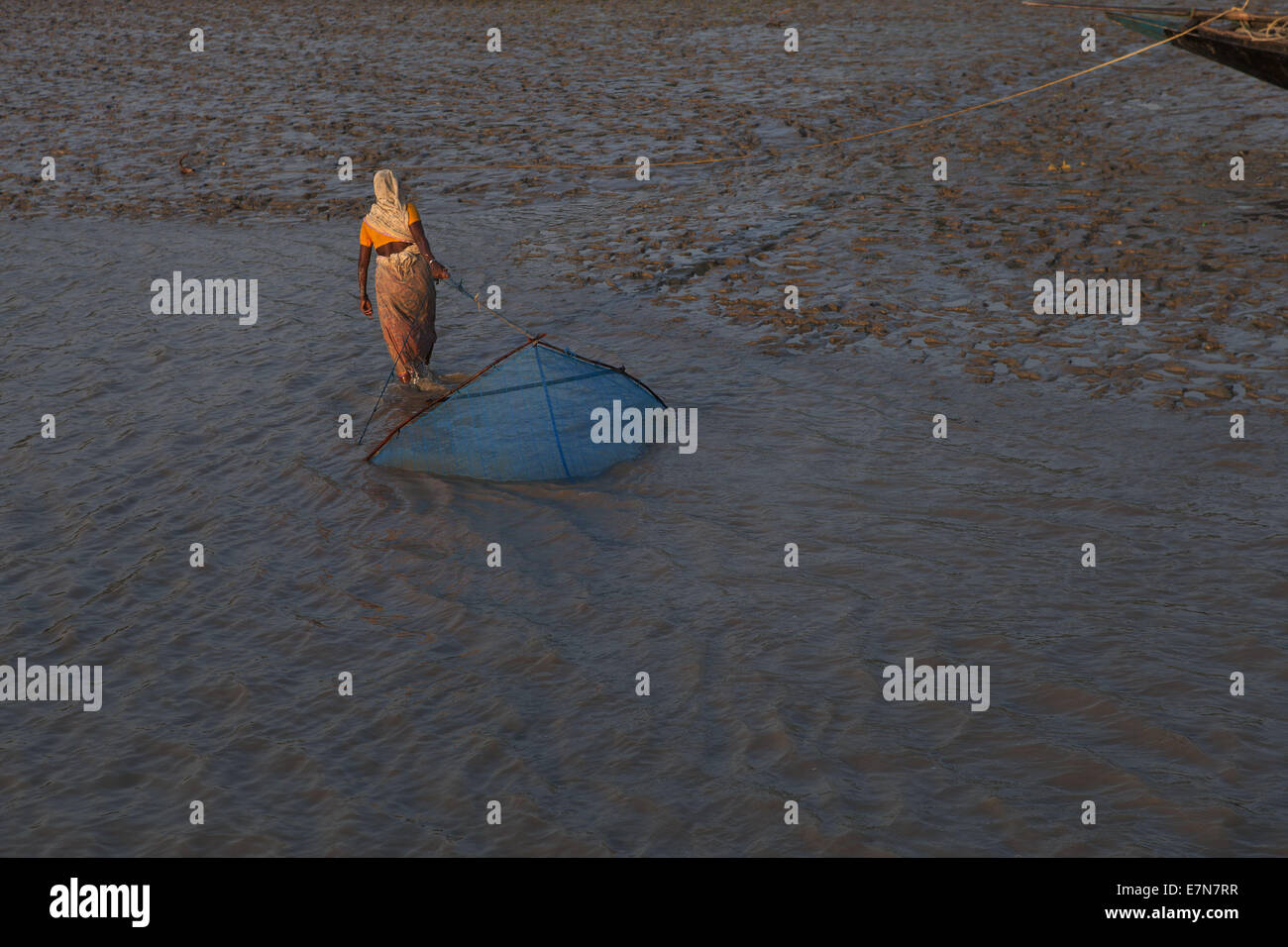 Oct. 18, 2012 - A tiger widow at Gabura village in Satkhira, Khulna ...