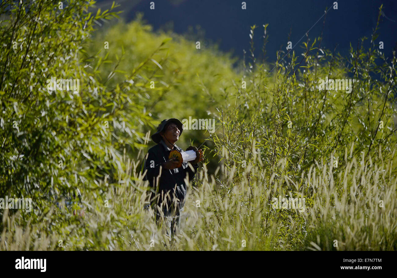 Lhasa, China's Tibet Autonomous Region. 19th Sep, 2014. A man flies a ...