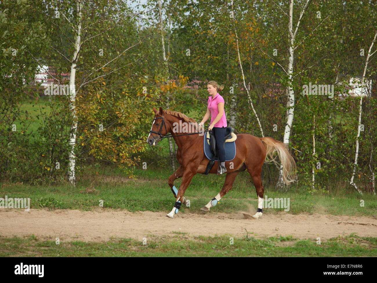 Attractive woman riding horse bareback hi-res stock photography and ...