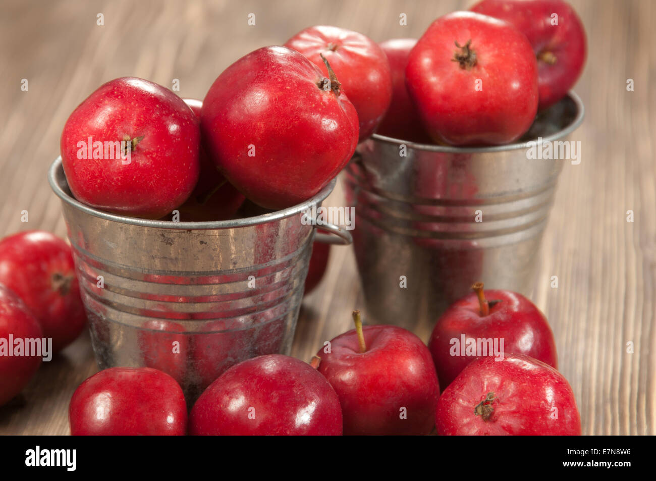 Apples harvest in two baskets Stock Photo - Alamy