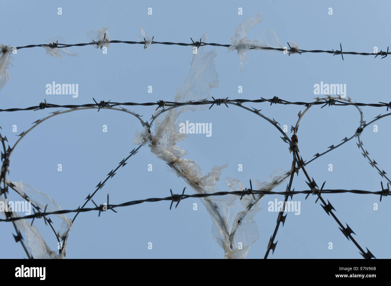 Razor wire injury hi-res stock photography and images - Alamy