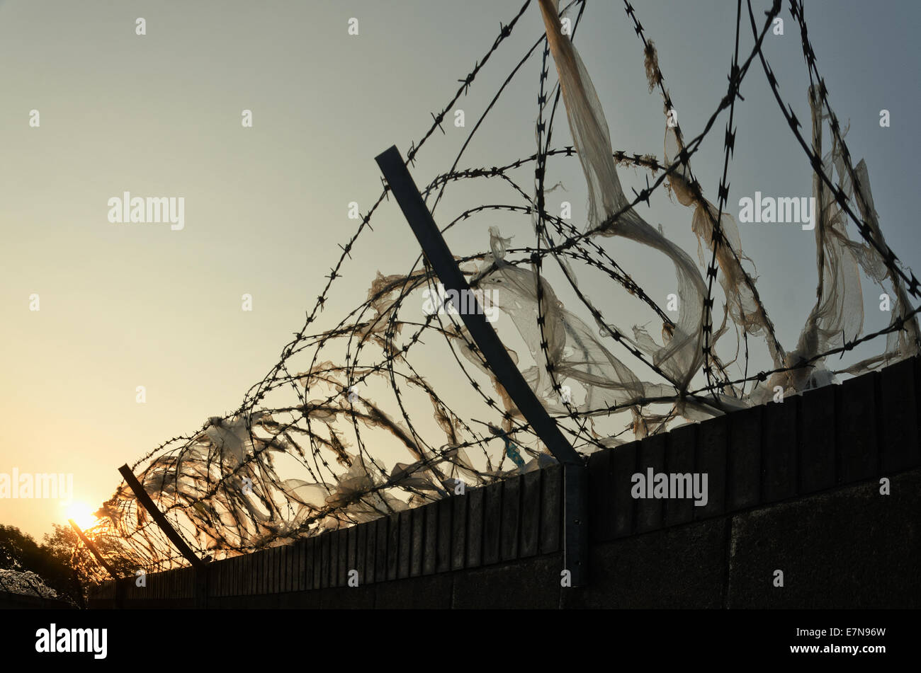 Razor wire injury hi-res stock photography and images - Alamy