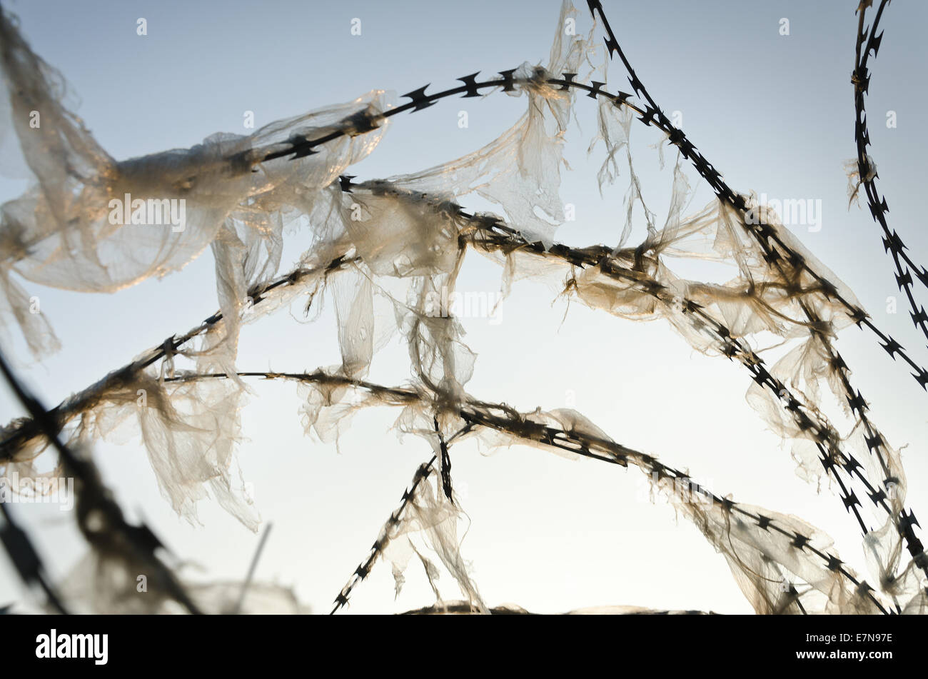 Galvanised high security razor wire and barbed wires deterrent to slow ...