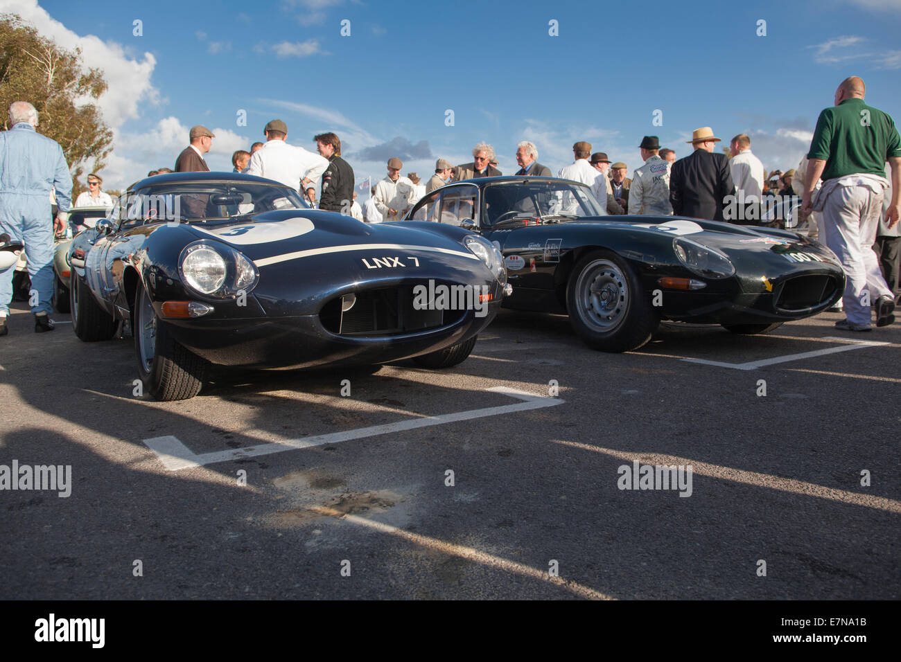 Jaguar e type racing car hi-res stock photography and images - Alamy