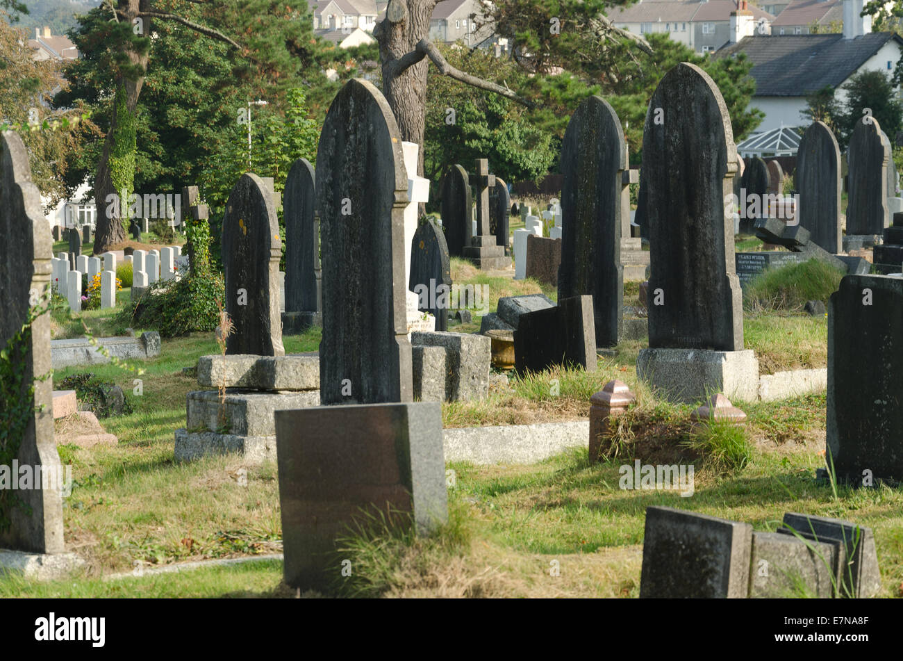 rows of slate sandstone marble limestone contrast as headstone in a ...