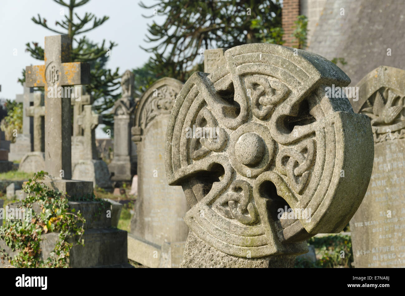 rows of slate sandstone marble limestone contrast as headstone in a ...